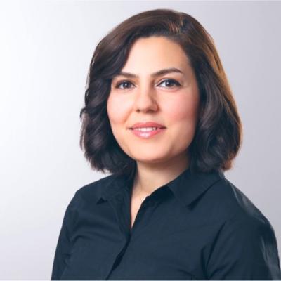 Dina Hussein - LinkedIn