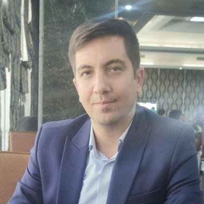 Hamid Darzi - LinkedIn