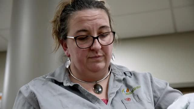 Amy Marston - LinkedIn