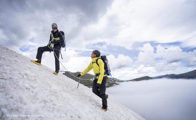 Michael Reddick - LinkedIn