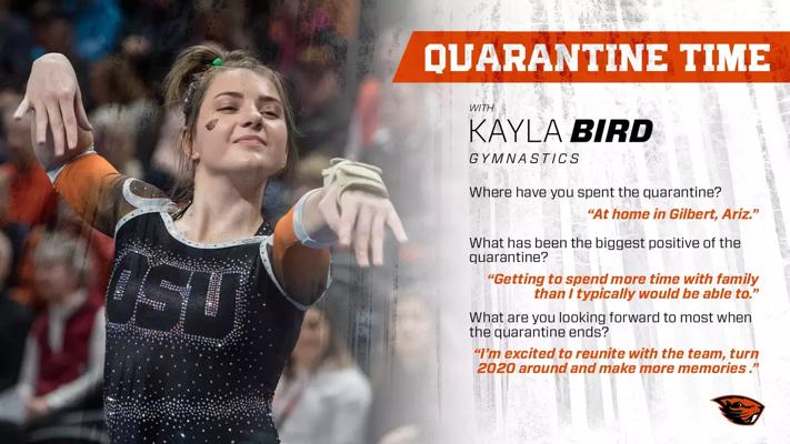 Kayla Bird - LinkedIn