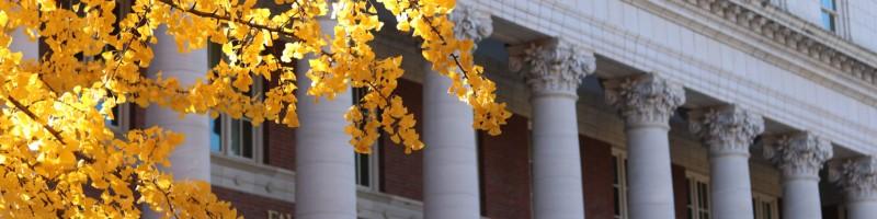 Maria Manabat - LinkedIn