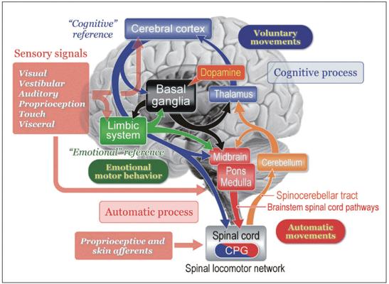 Sheila Tejada - LinkedIn
