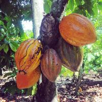 Daniel Rattigan - Facebook, LinkedIn, Twitter